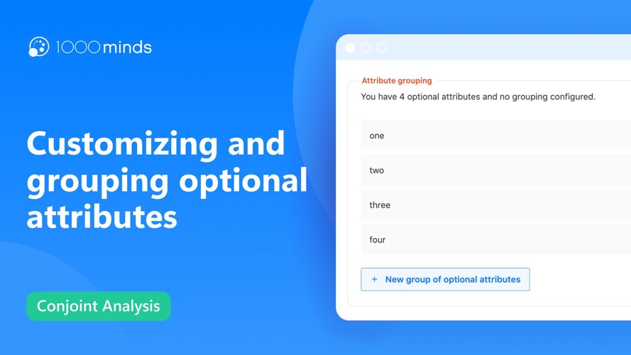 Customizing and grouping optional attributes | 1000minds